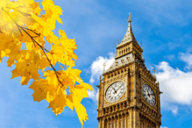 M J Bushell: Forward-thinking Chartered Accountants Essex